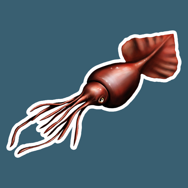 Colossal Squid Die Cut Sticker – Dark Art Mart